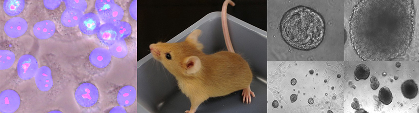 ｜Kobe University Graduate School of Medicine / School of Medicine