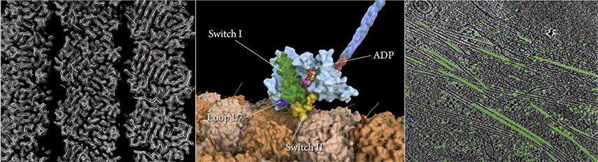 ｜Kobe University Graduate School of Medicine / School of Medicine