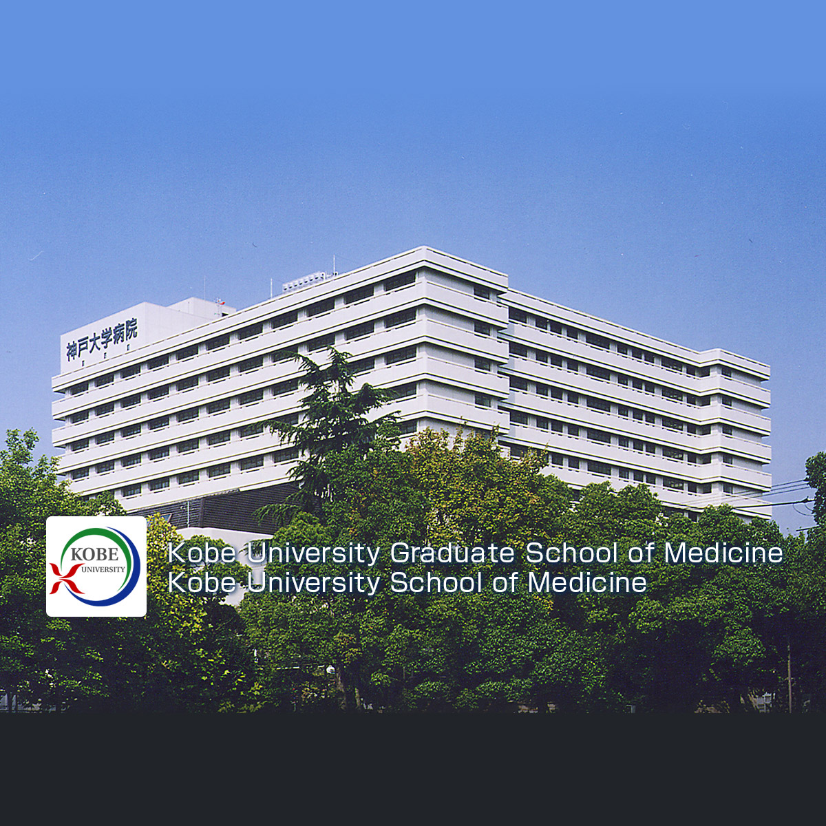 Kobe University Graduate School of Medicine / School of Medicine